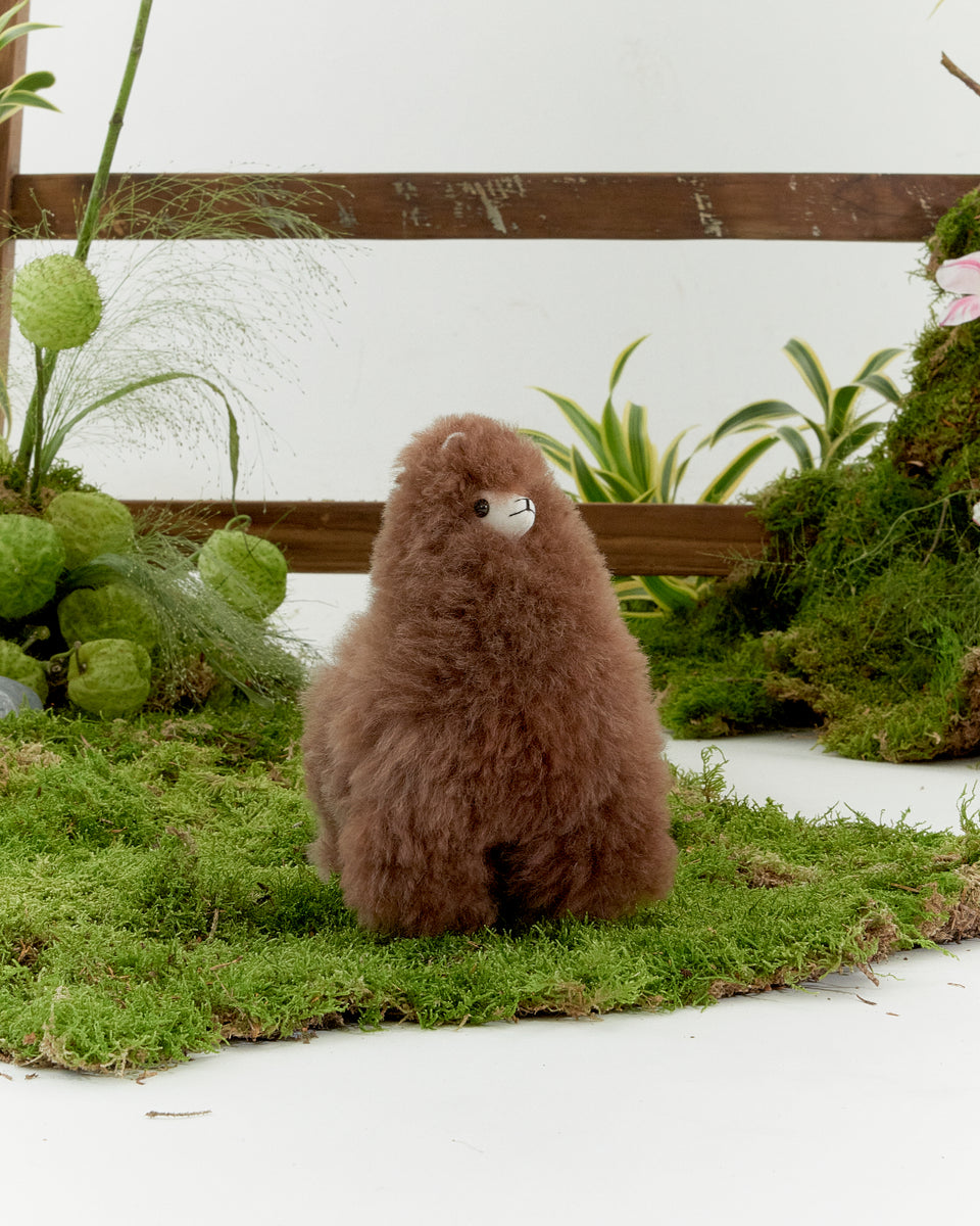 The Mini baby Alpaca – Made in Peru Hong Kong